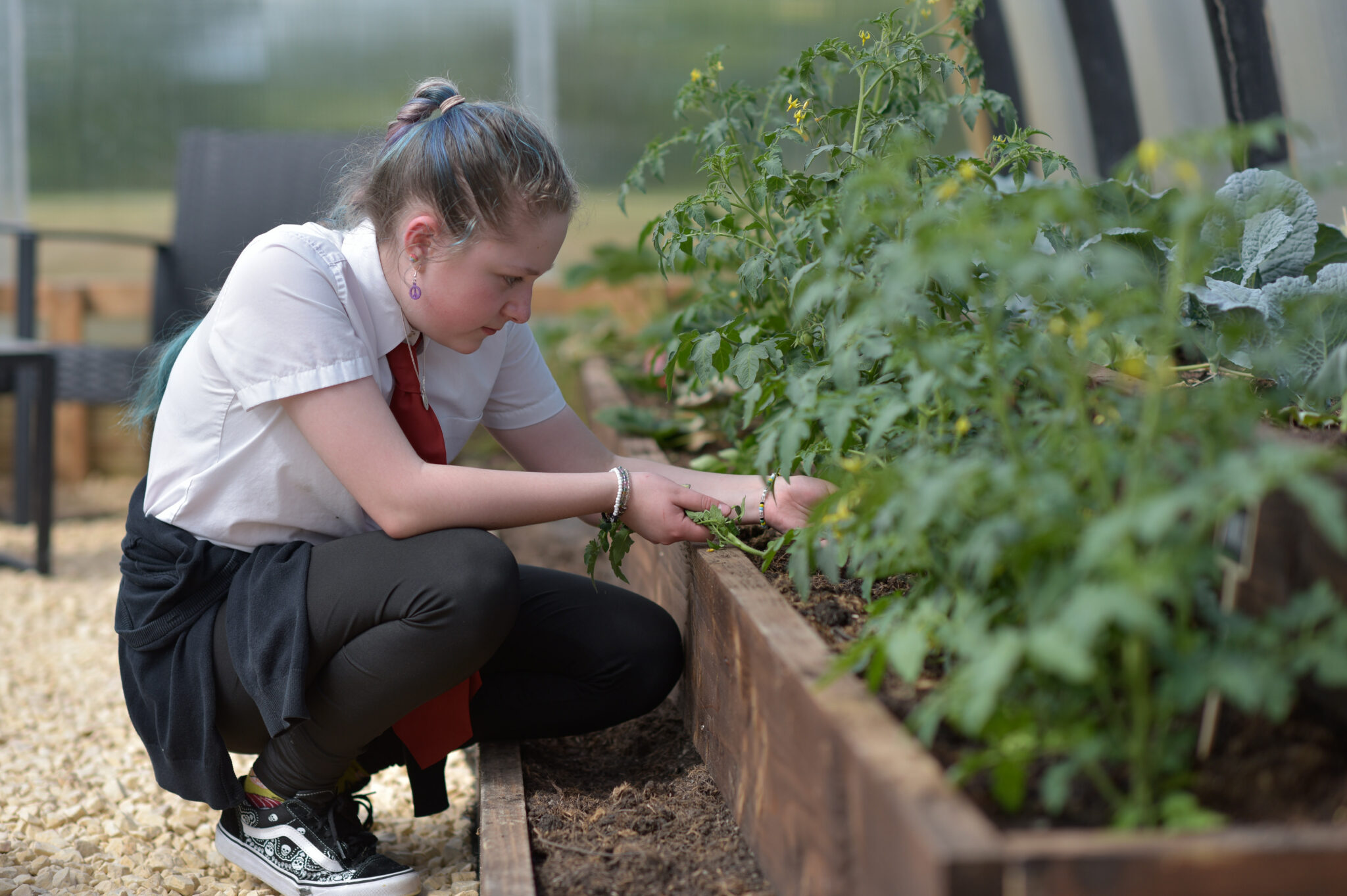 Falkirk Good Food Ambassadors Programme – FEL Scotland