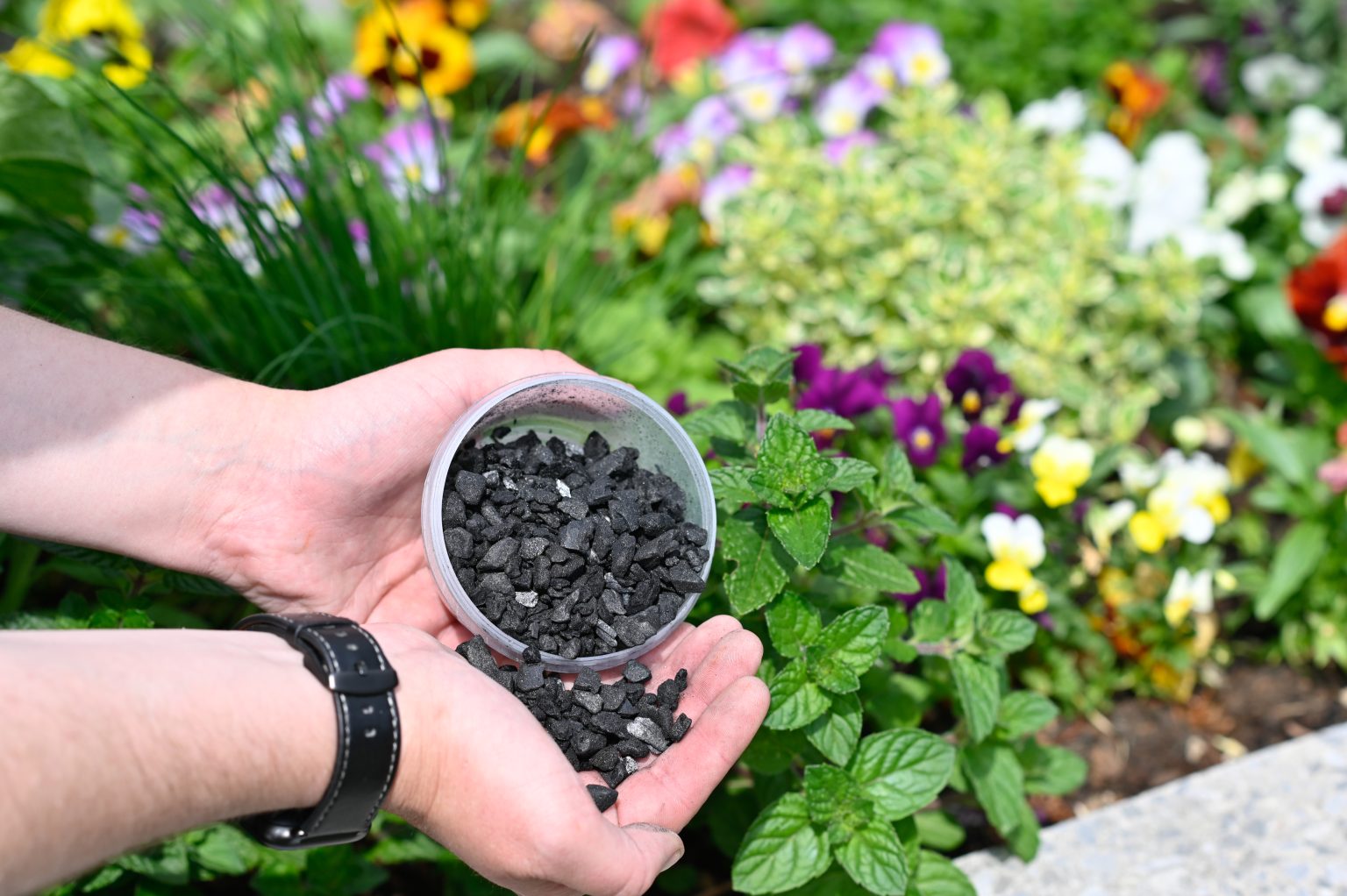 Announcing our Falkirk event Program for the Climate Action Hub Launch ...