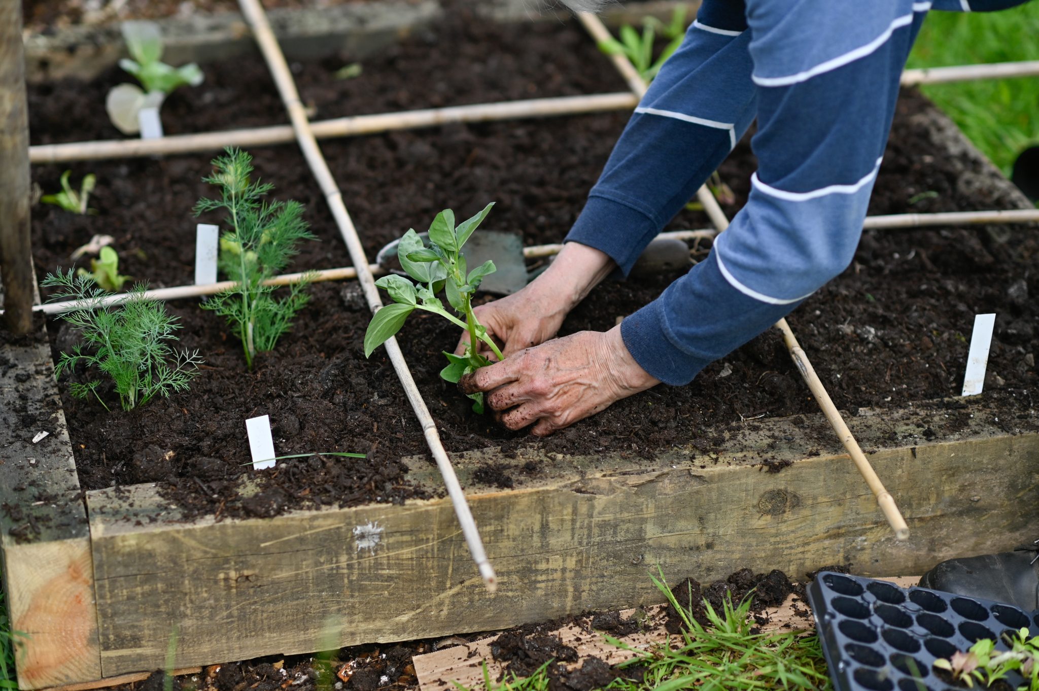 Our Climate Action Hub Launch events continue at The Smith Art Gallery ...