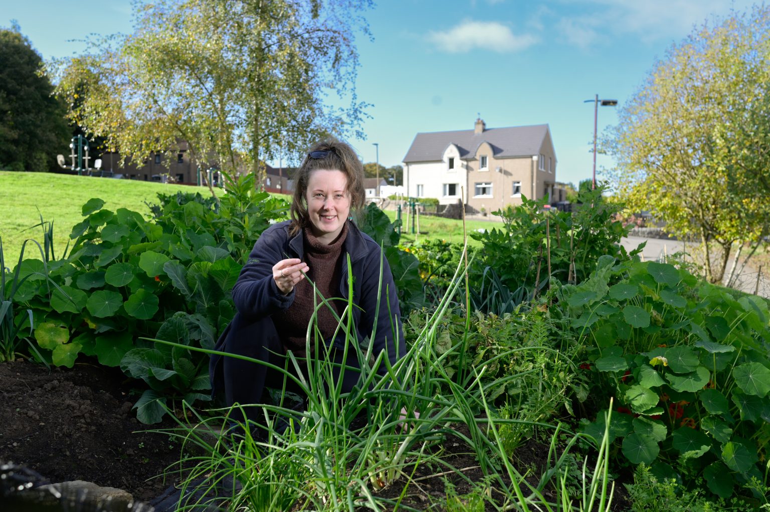 Hawkhill Community Centre: Greening the Heart of Alloa – FEL Scotland